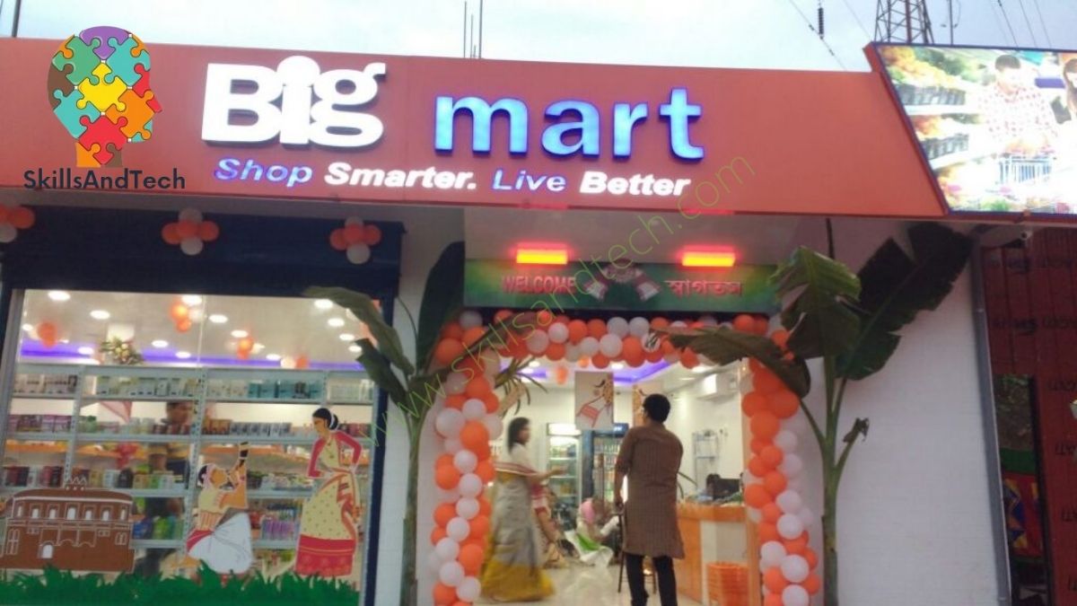 Big Mart Franchise Cost, Profit, Wiki, How to Apply | SkillsAndTech ...