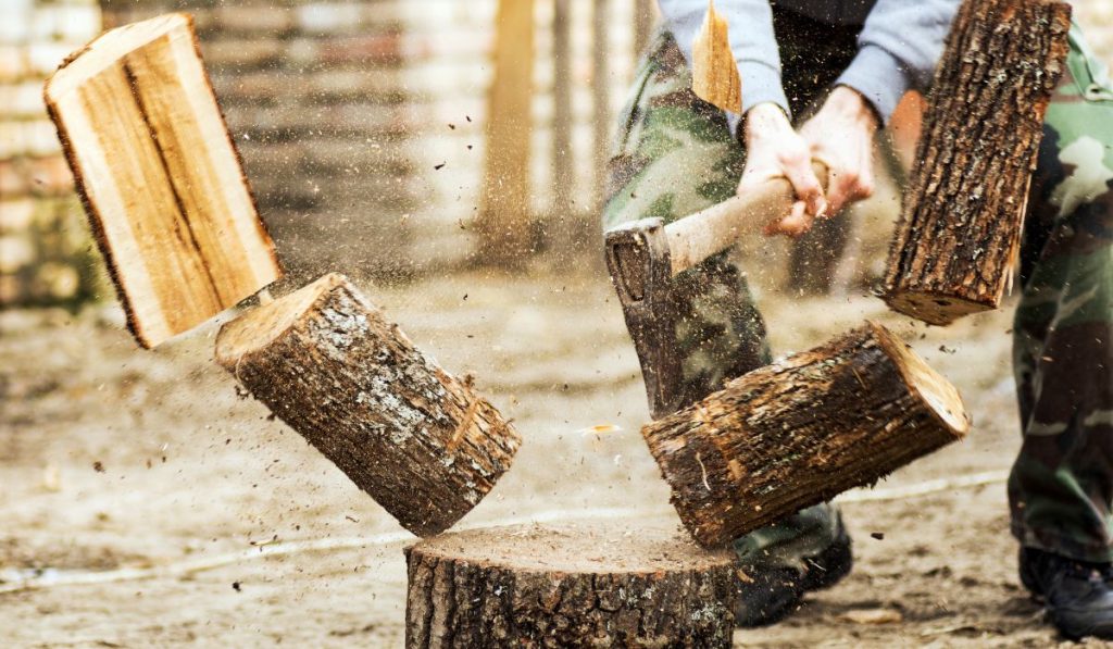 How to Start a Wood Cutting Business | SkillsAndTech - SkillsAndTech