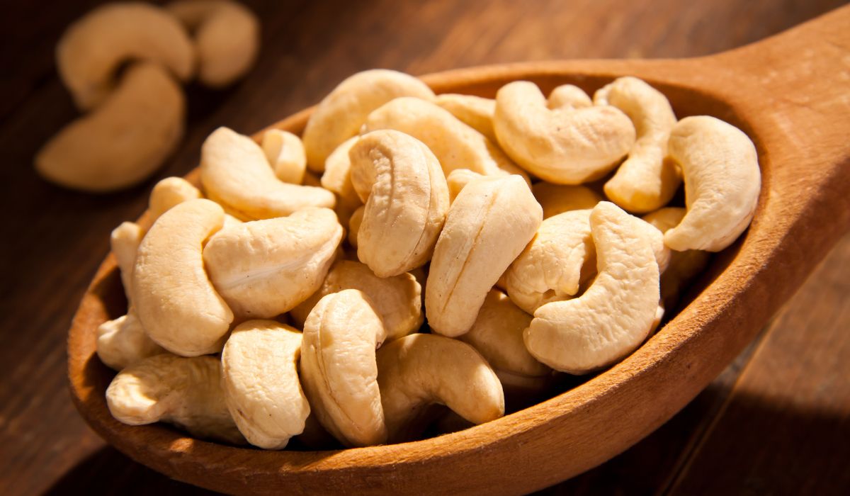 How To Start Cashew Farming Business | SkillsAndTech - SkillsAndTech