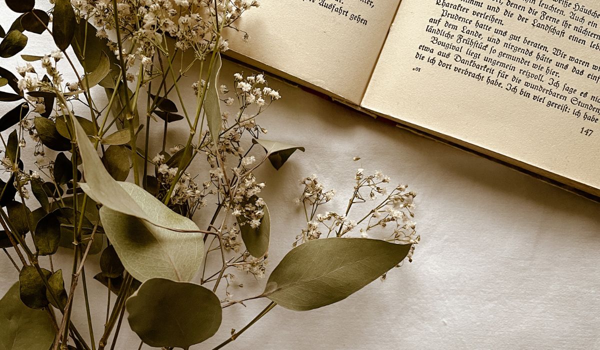 How To Start A Aesthetic Business | SkillsAndTech - SkillsAndTech